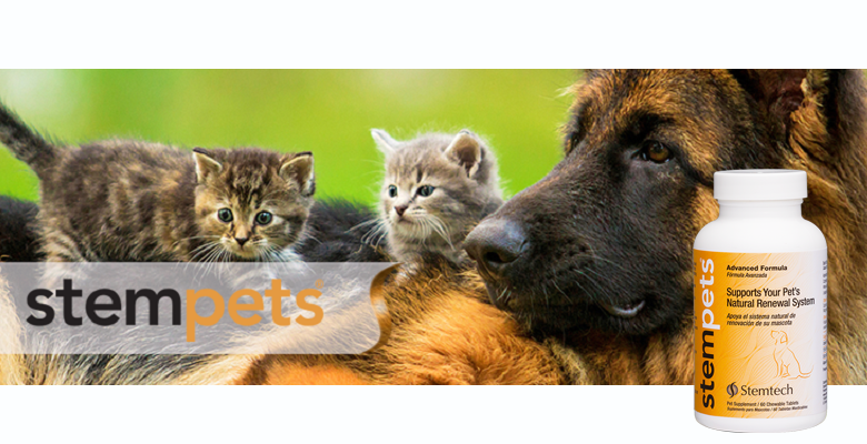 Stemtech Launches Pet Product Line